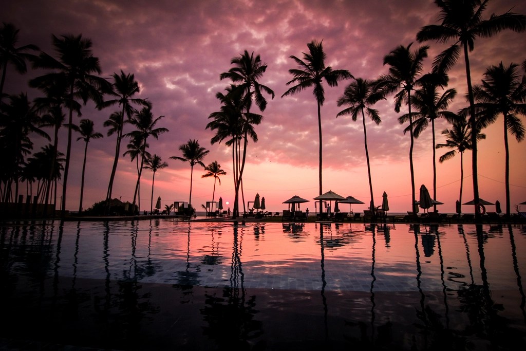 Royal Palm Mirage: A Midlife Fantasy in Flip-Flops – Cinemorphosis